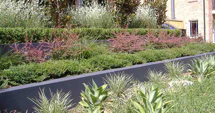 Soft Landscaping - BD Landscapes